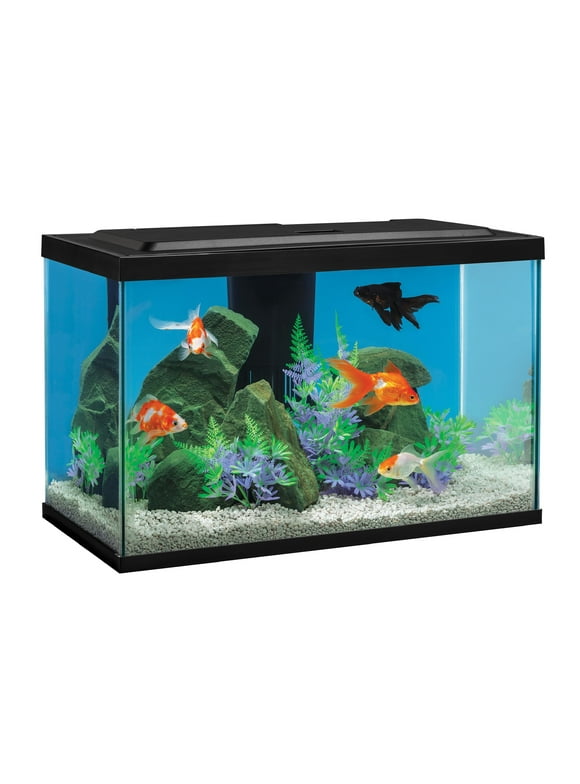 20 Gallon Fish Tank in Fish Tanks - Walmart.com