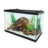 Free Shipping! Tetra 20 Gallon Glass LED Aquarium Kit - Walmart ...