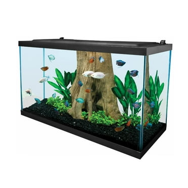 Aqua Culture Glass 20 Gallon Aquarium Starter Kit, Black, 24.17''L x 12 ...