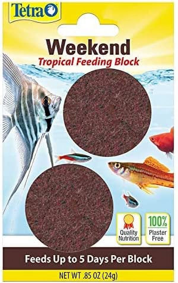 Tetra 77151 5 Day Gel Fish Feeder - Walmart.com