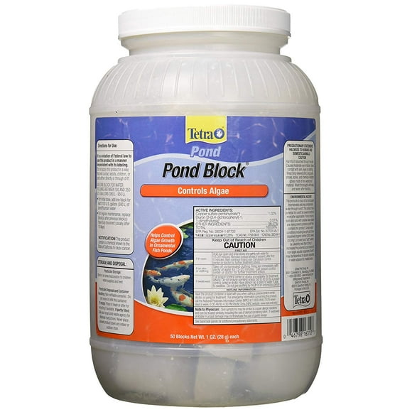 Aquarium Algae Treatments