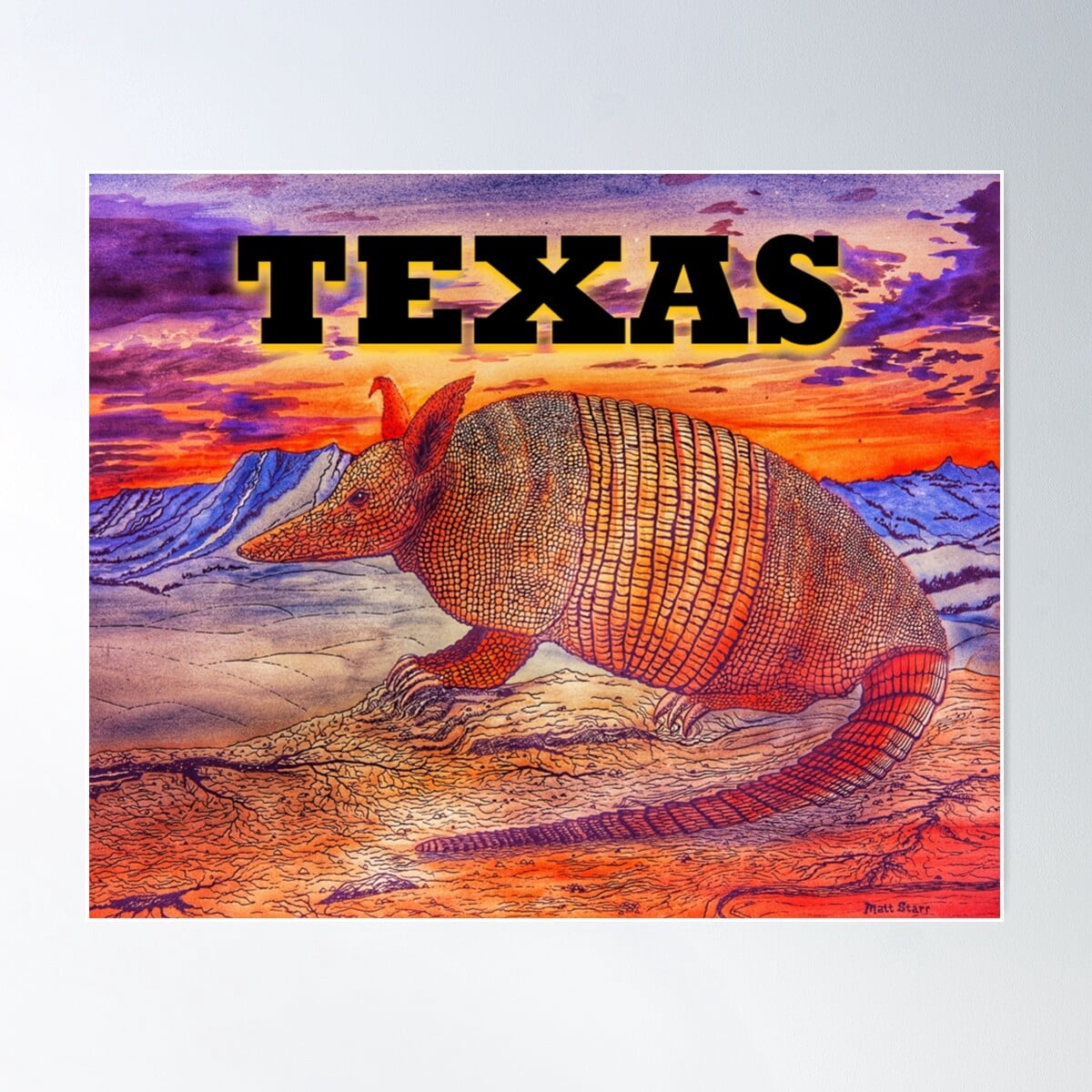 Texas Armadillo Poster Wall Art, Modern Wall Decor For Living Room ...