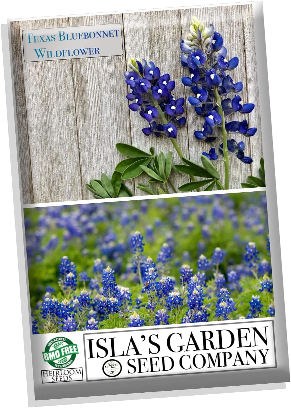 Texas Bluebonnet Flower Seeds, 25 Heirloom Seeds Per Packet, Isla's ...