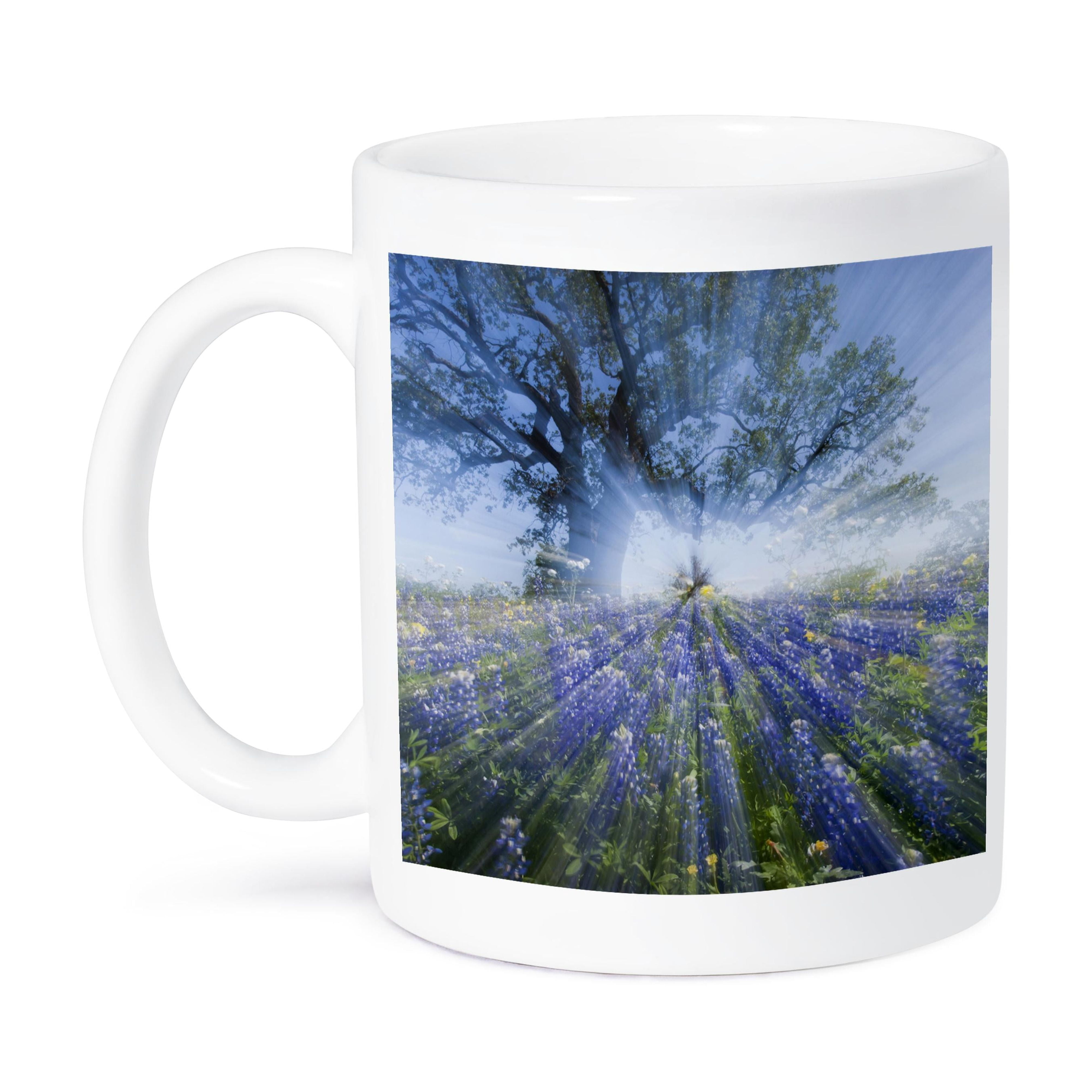 3dRose, Texas Bluebonnet flowers in bloom, central Texas, USA - US44 ...