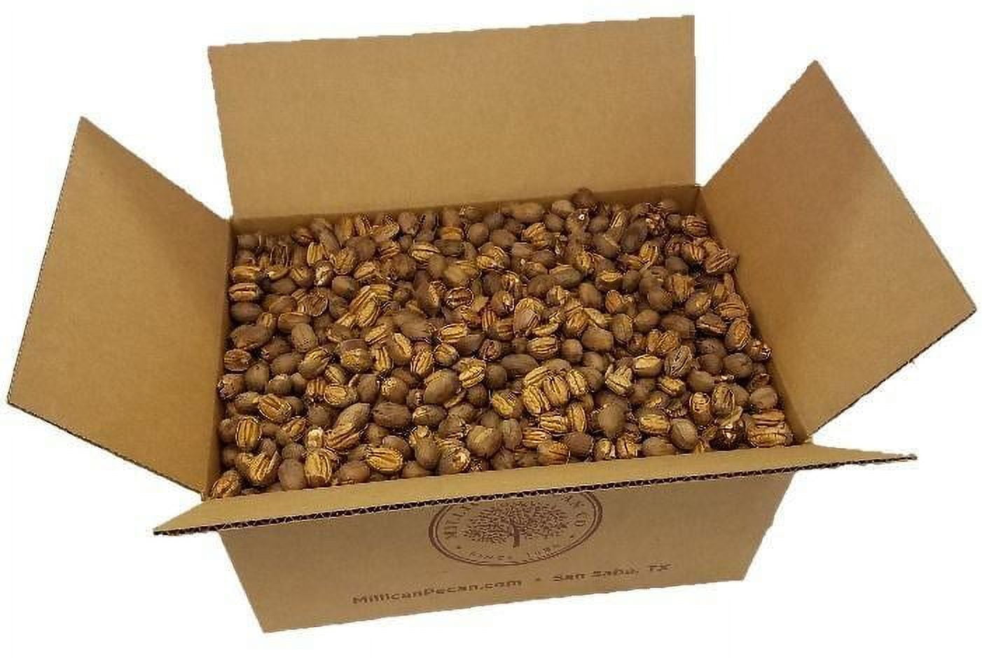 Millican Pecan, Cracked Texas Pecans, Fresh Bulk Nut, Shell Removed ...