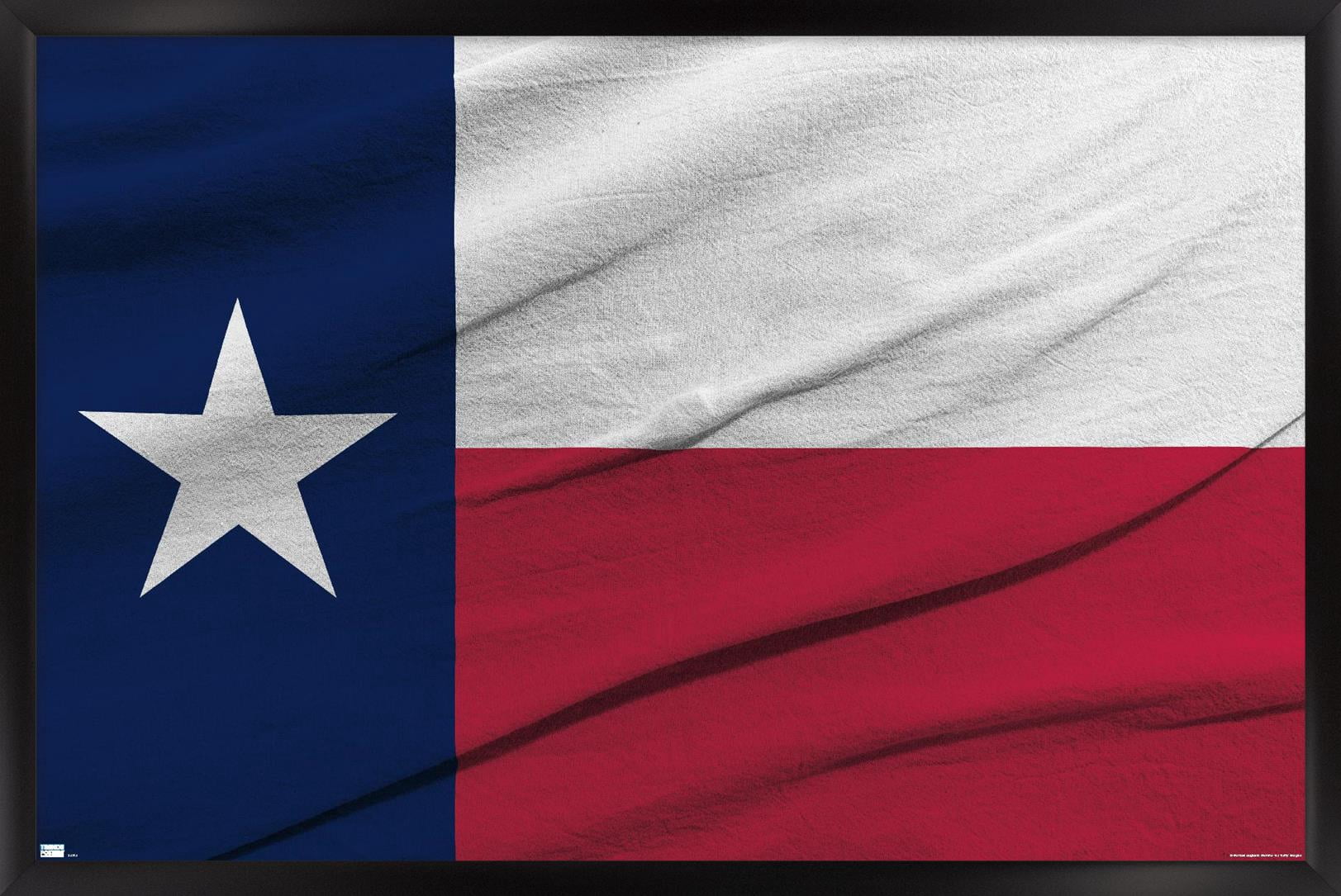 Texas Flag Wall Poster, 14.725" x 22.375" Framed - Walmart.com