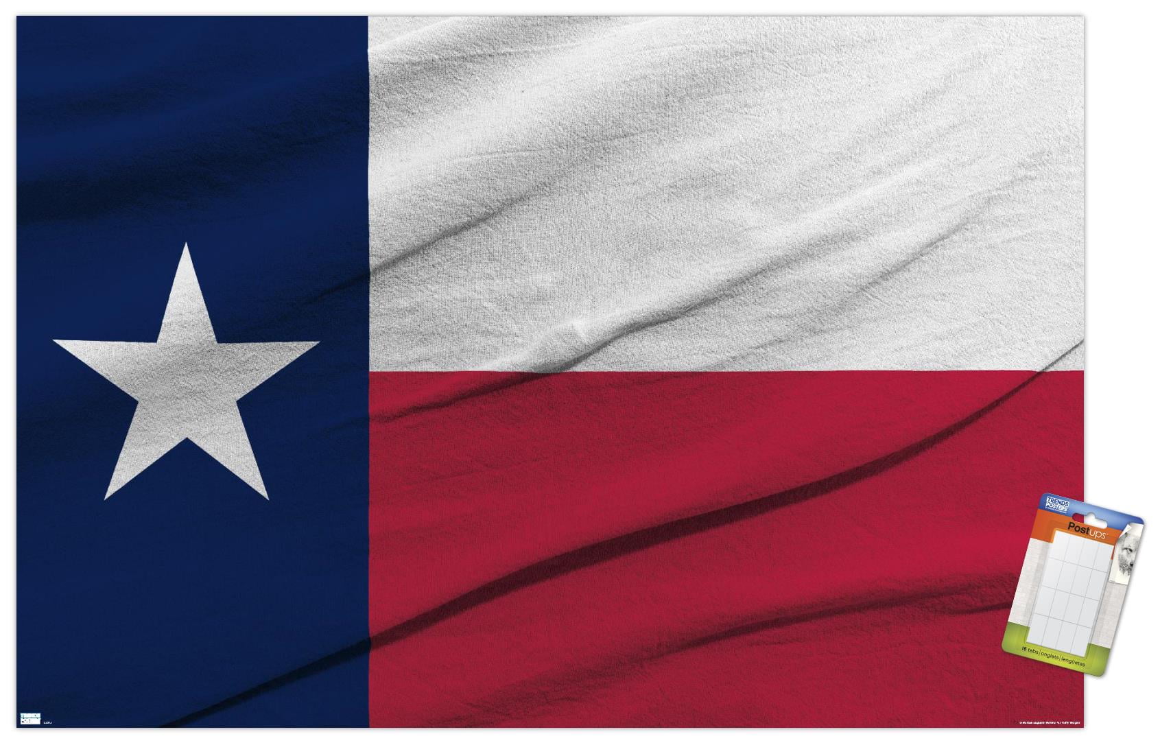 Texas Flag Wall Poster, 22.375" x 34" - Walmart.com