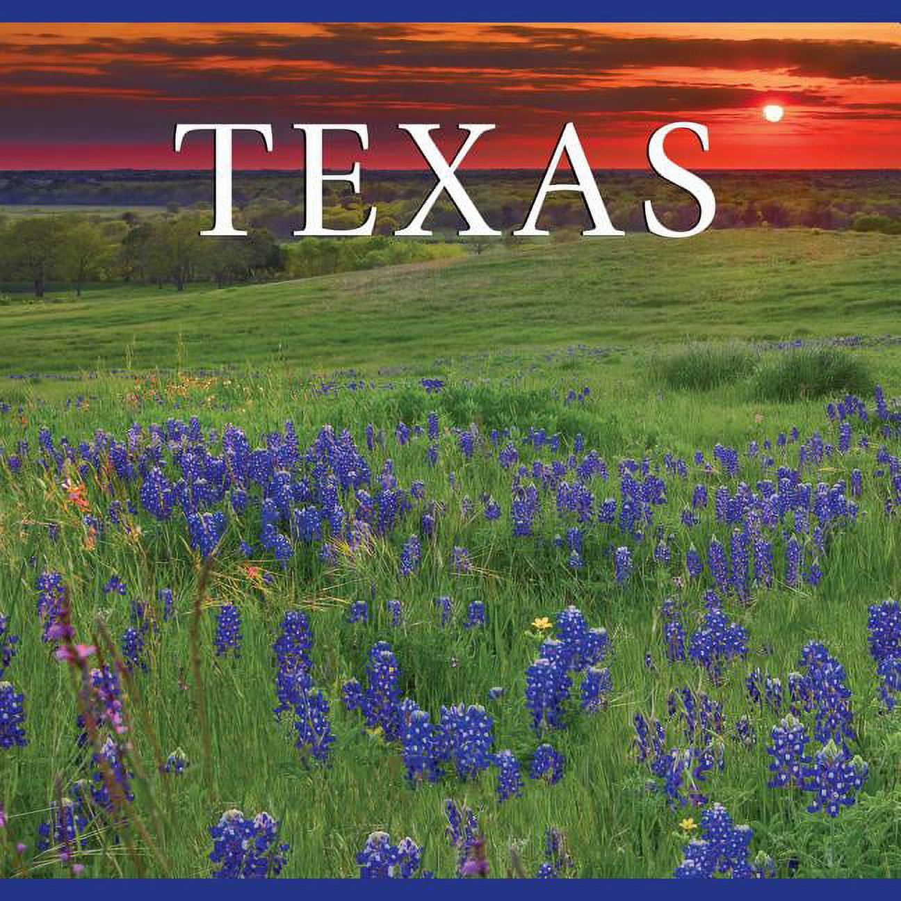 Texas (Hardcover) - Walmart.com