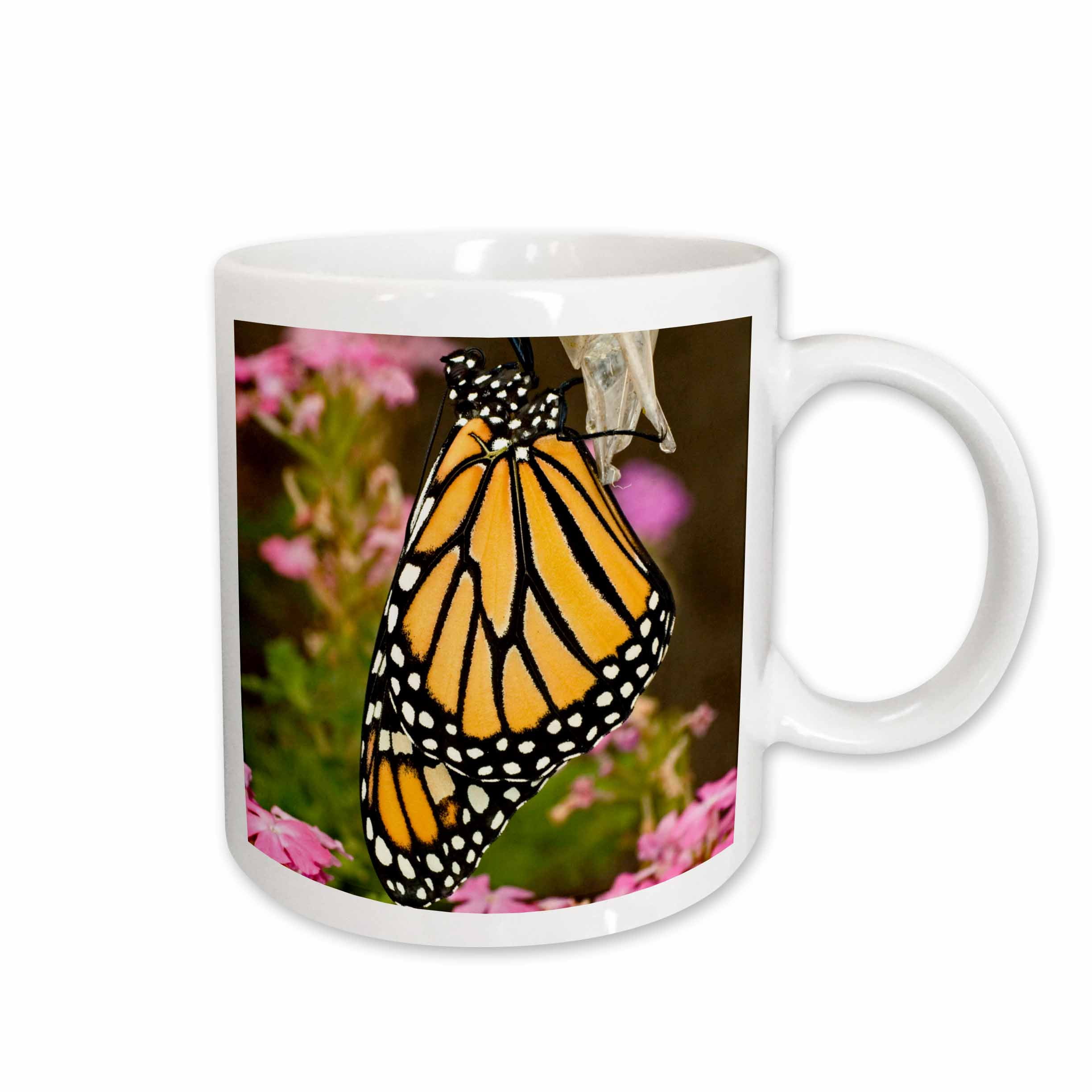 3drose, Texas, Hill Country. Monarch Butterfly - Us44 Bja0028 - Jaynes ...