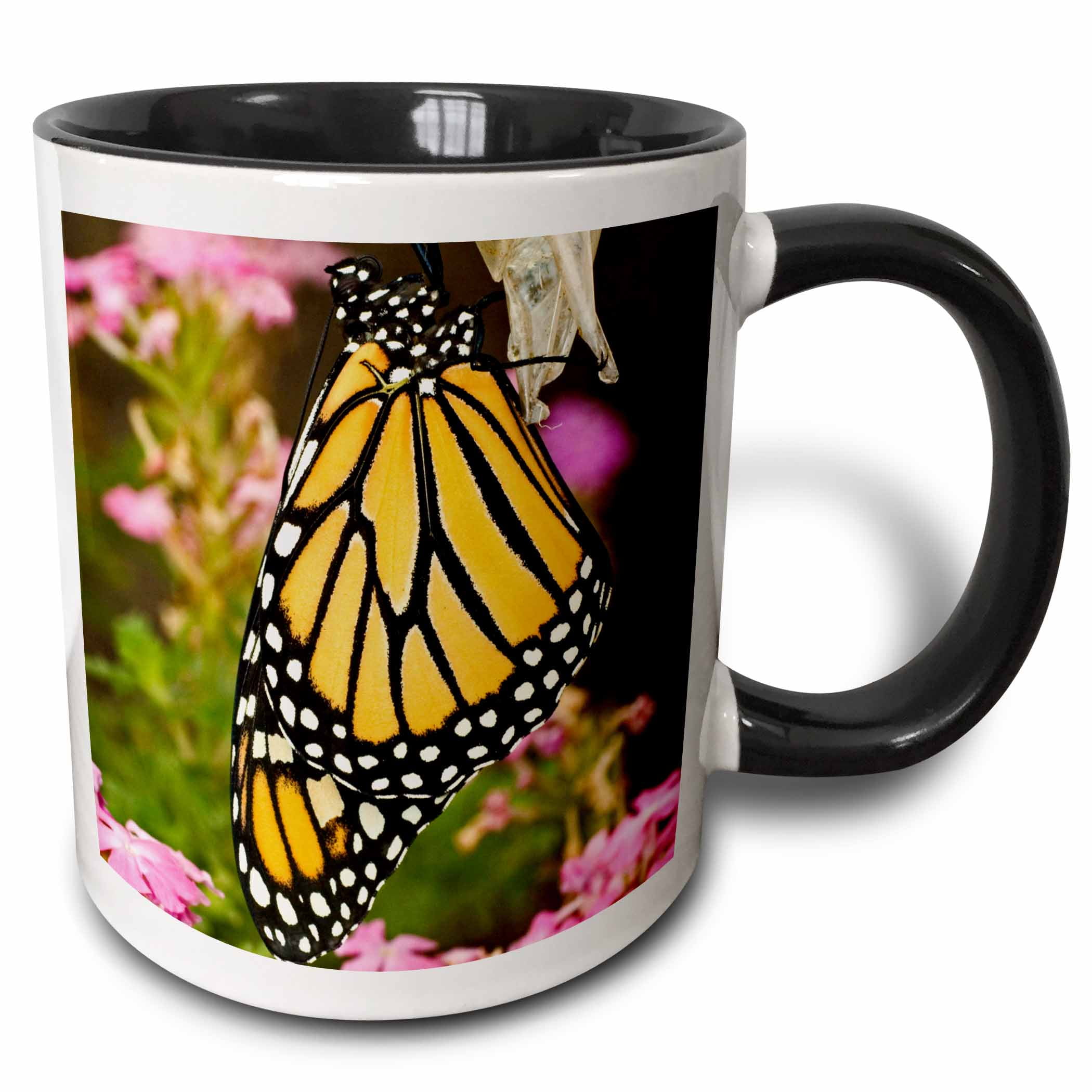 3drose, Texas, Hill Country. Monarch Butterfly - Us44 Bja0028 - Jaynes ...