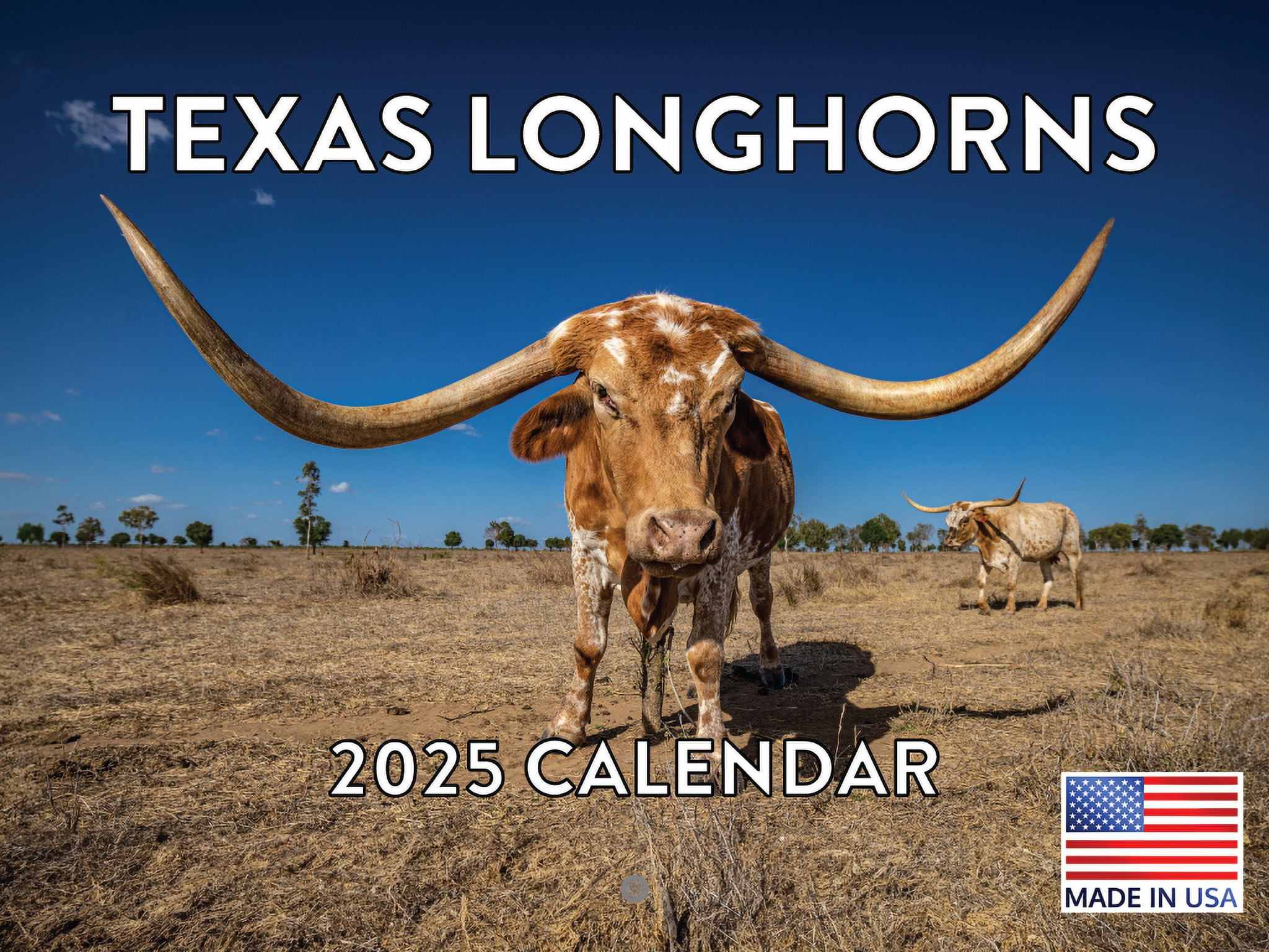 Texas Longhorn Calendar 2025 Cattle Monthly Wall Calender 12 Month | American Made In The USA ...