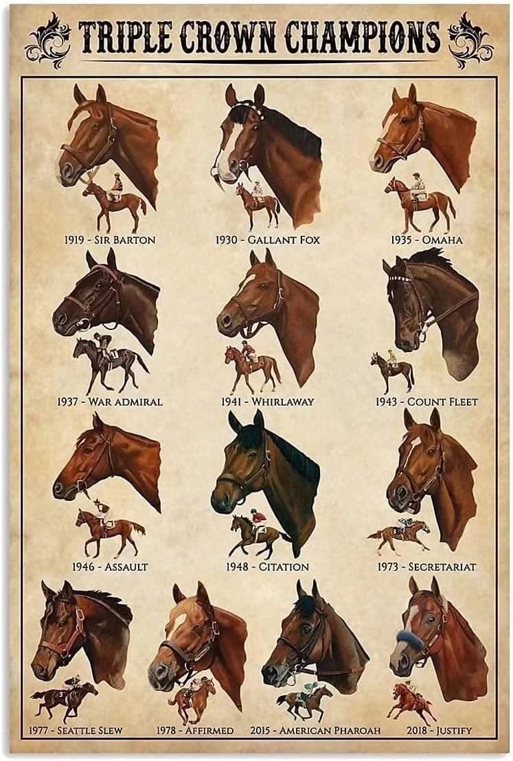 Texas Longhorn Knowledge Metal Signs Poster Longhorn Beef Chart Popular ...