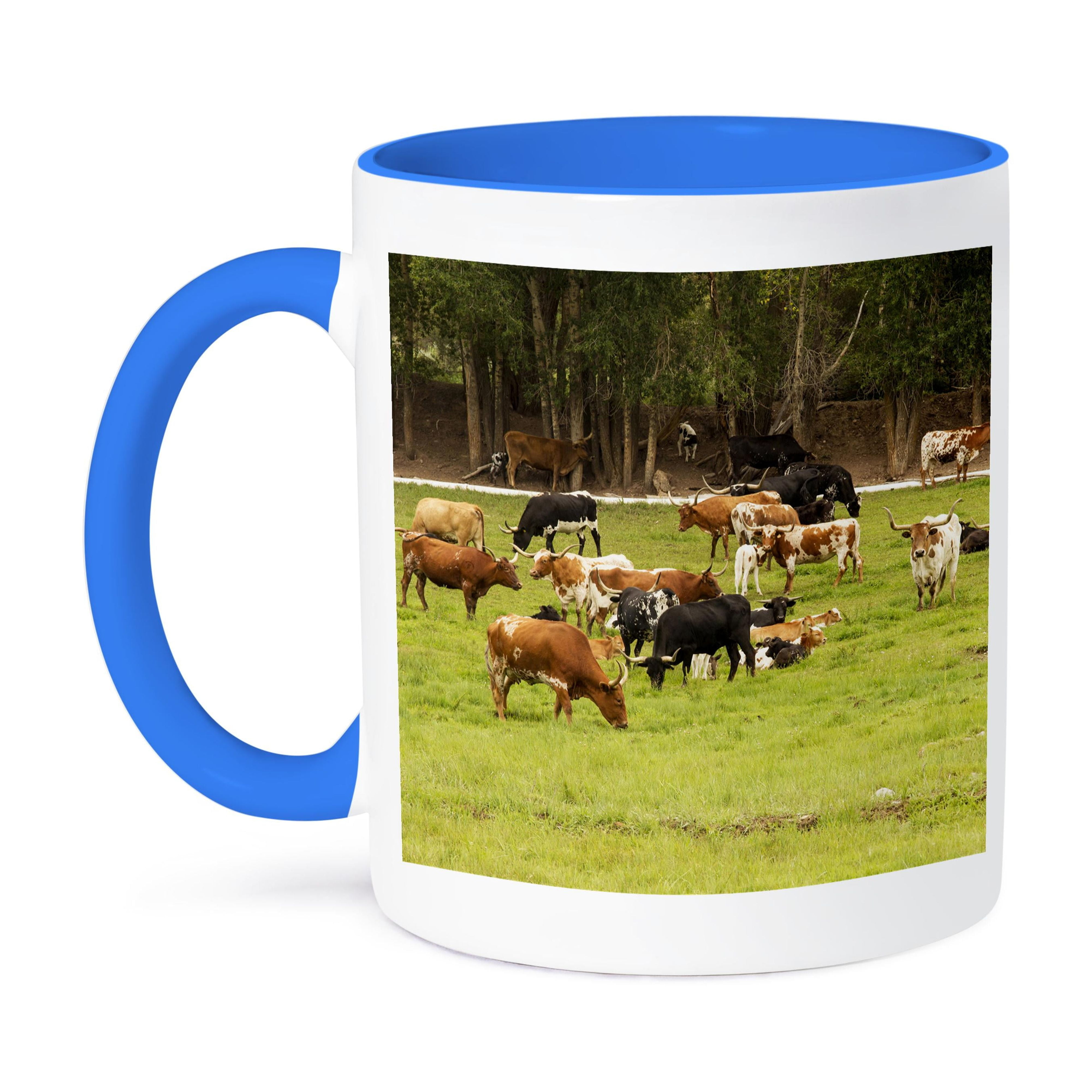 3dRose, Texas Longhorn cow cattle in green pasture - US44 PWO0000 ...