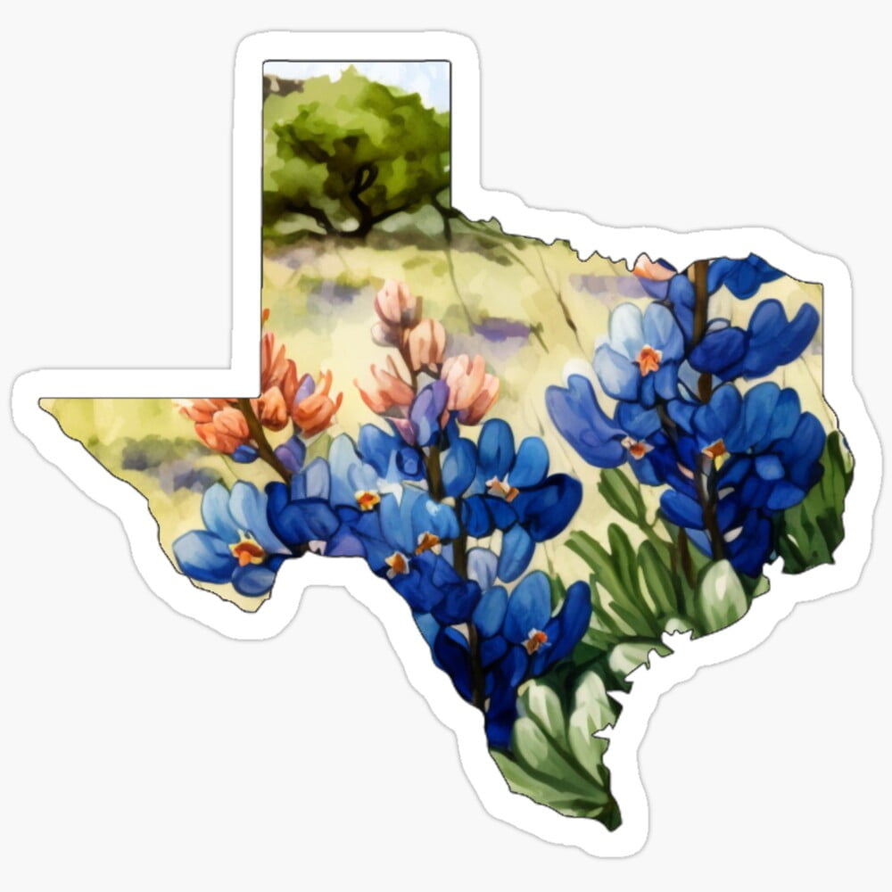 Texas Outline Watercolor Bluebonnets Sticker Phone Decal Water Bottle ...