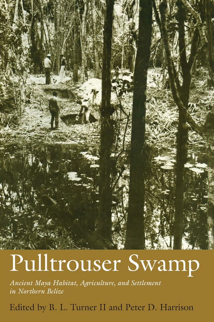 Texas Pan American Pulltrouser Swamp: Ancient Maya Habitat, Agriculture ...