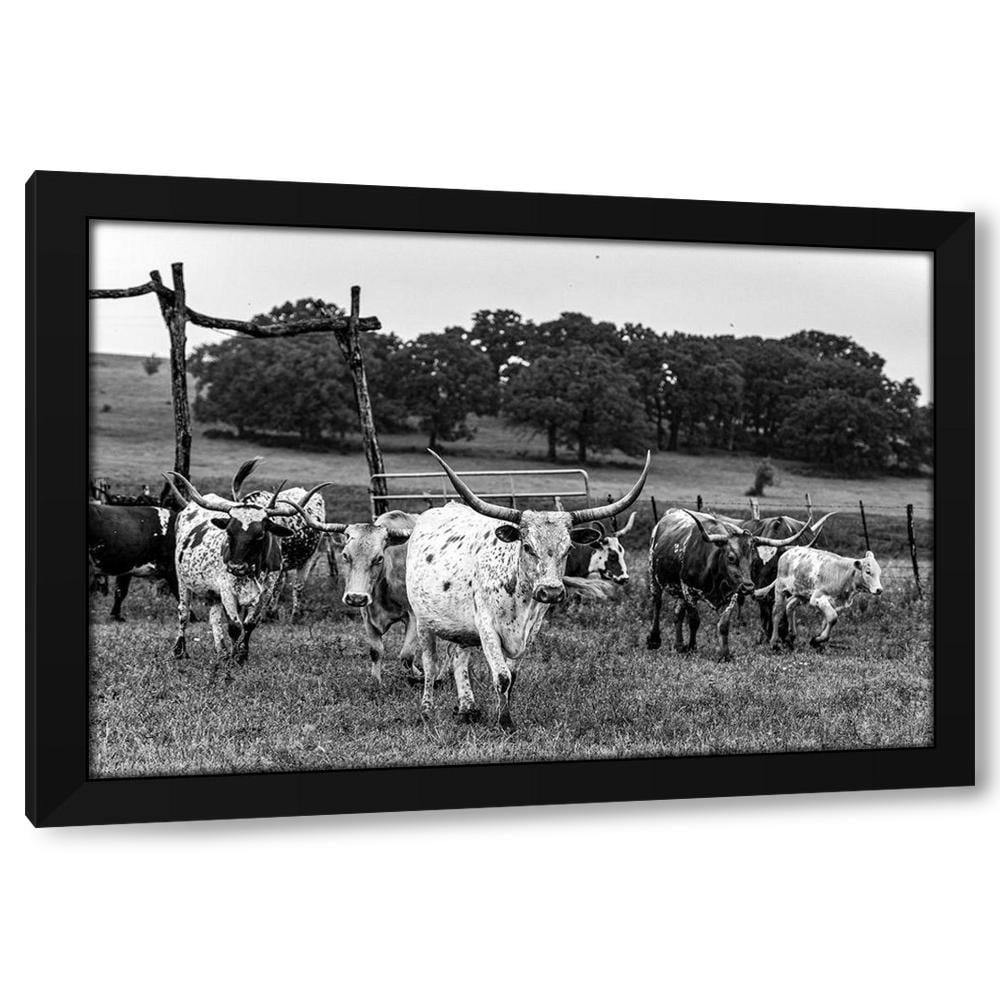 Texas Picture Archive 14x11 Black Modern Wood Framed Wall Art Titled ...