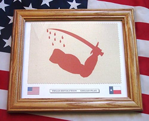 Texas Revolution Flag Goliad Flag Texas Bloody Arm Flag, 1835 - Walmart.com
