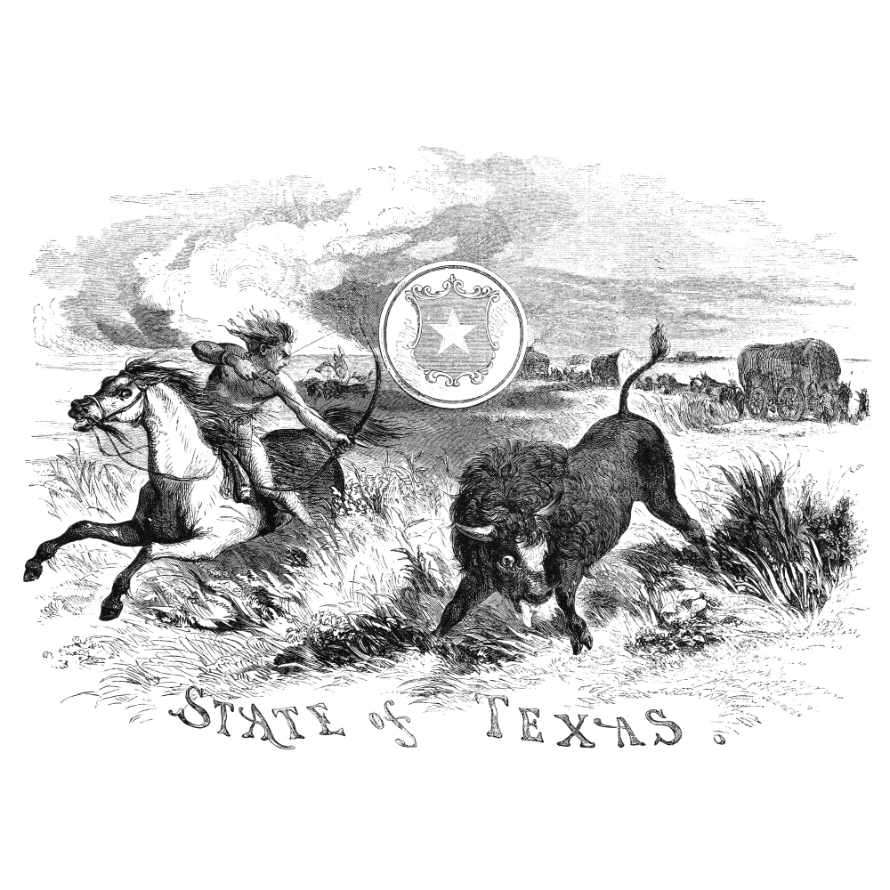 Texas Scene, 1855. /Nstate Of Texas. Wood Engraving, American, 1855 ...