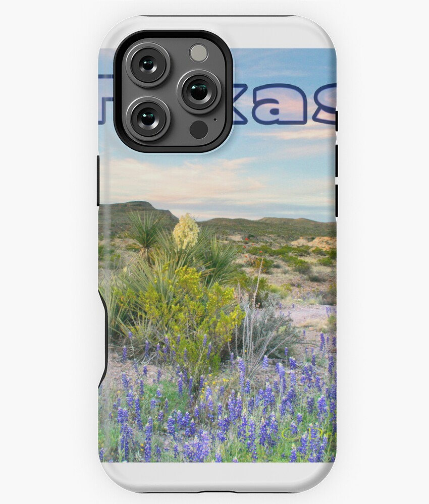 Texas Skies Big Sky Country State Phone Case for iPhone 16 15 14 13 12 ...