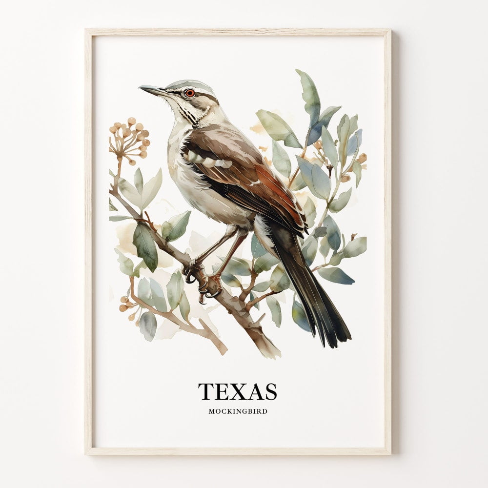 Texas State Bird Art Print, Texas State Flower Wall Art, Home Decor ...