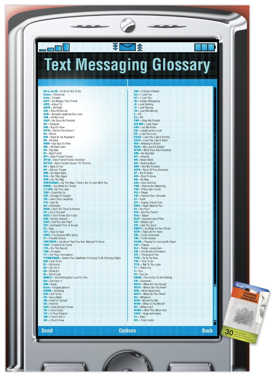 Text Msg Glossary Wall Poster with Push Pins, 22.375" x 34" - Walmart.com