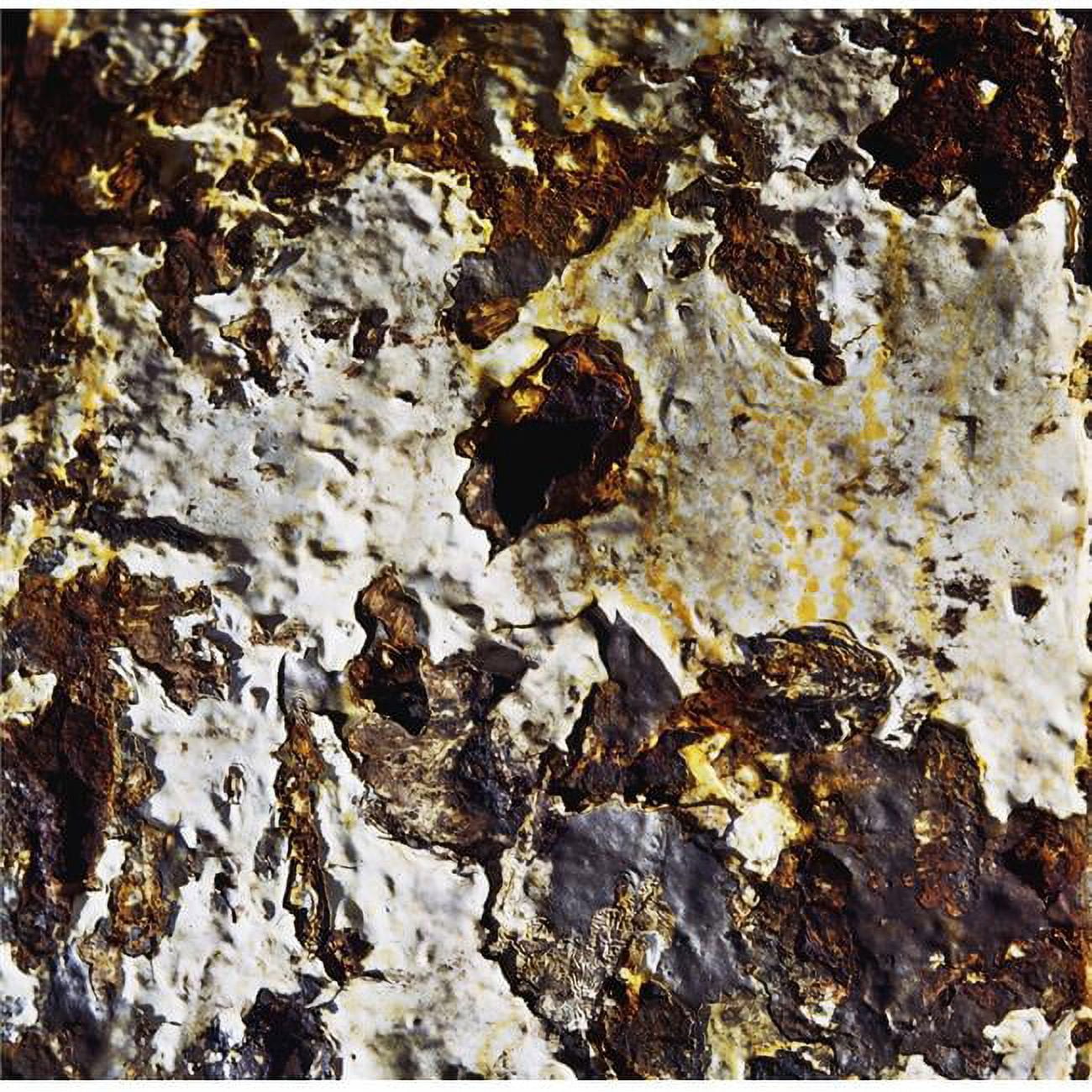 Textures - Close Up of A Rusted Texture Poster Print by The Irish Image ...