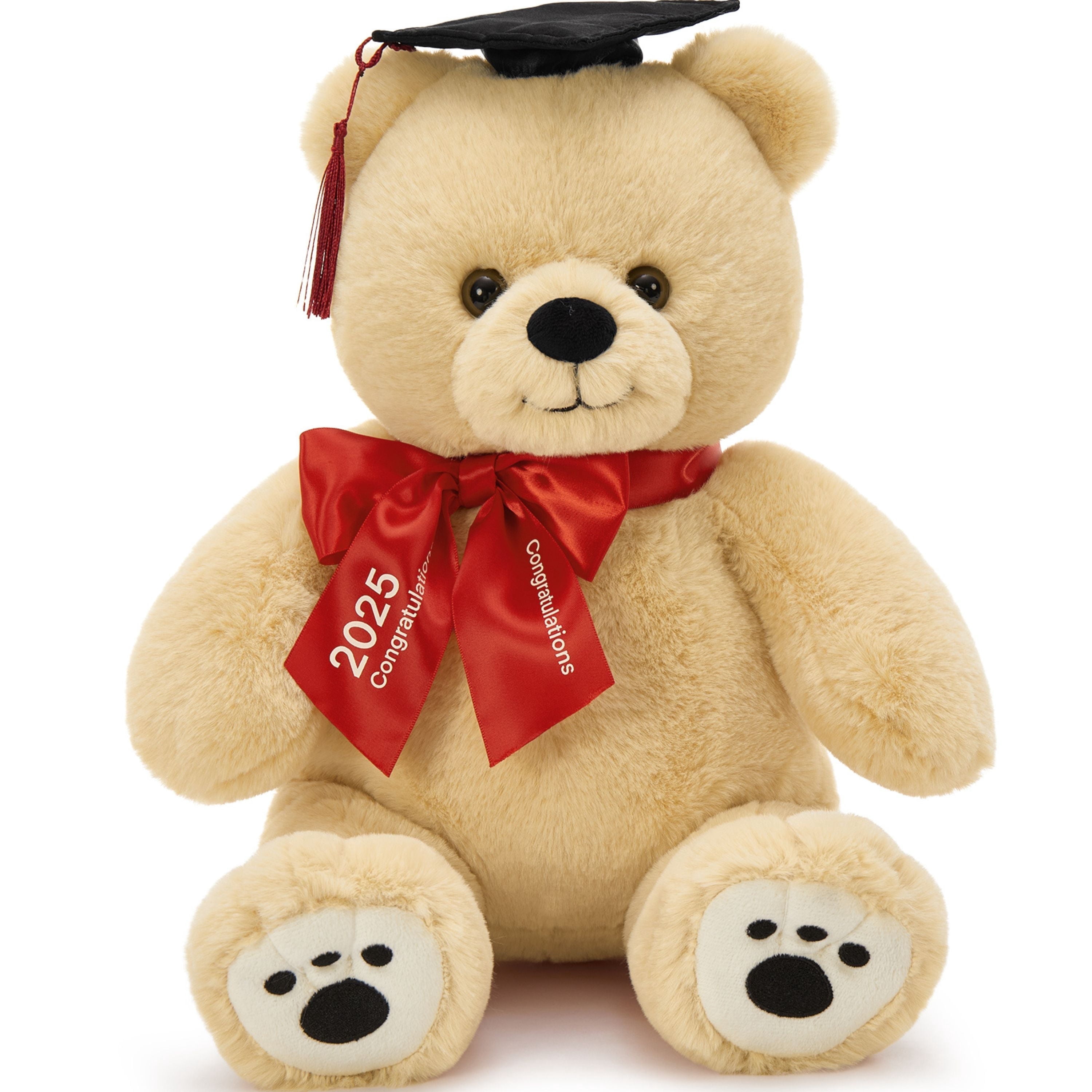 Tezituor 17.7'' Graduation Teddy Bear 2025 Stuffed Animal with Doctoral ...