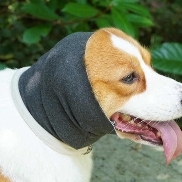 No Flap Ear Wraps For Dogs
