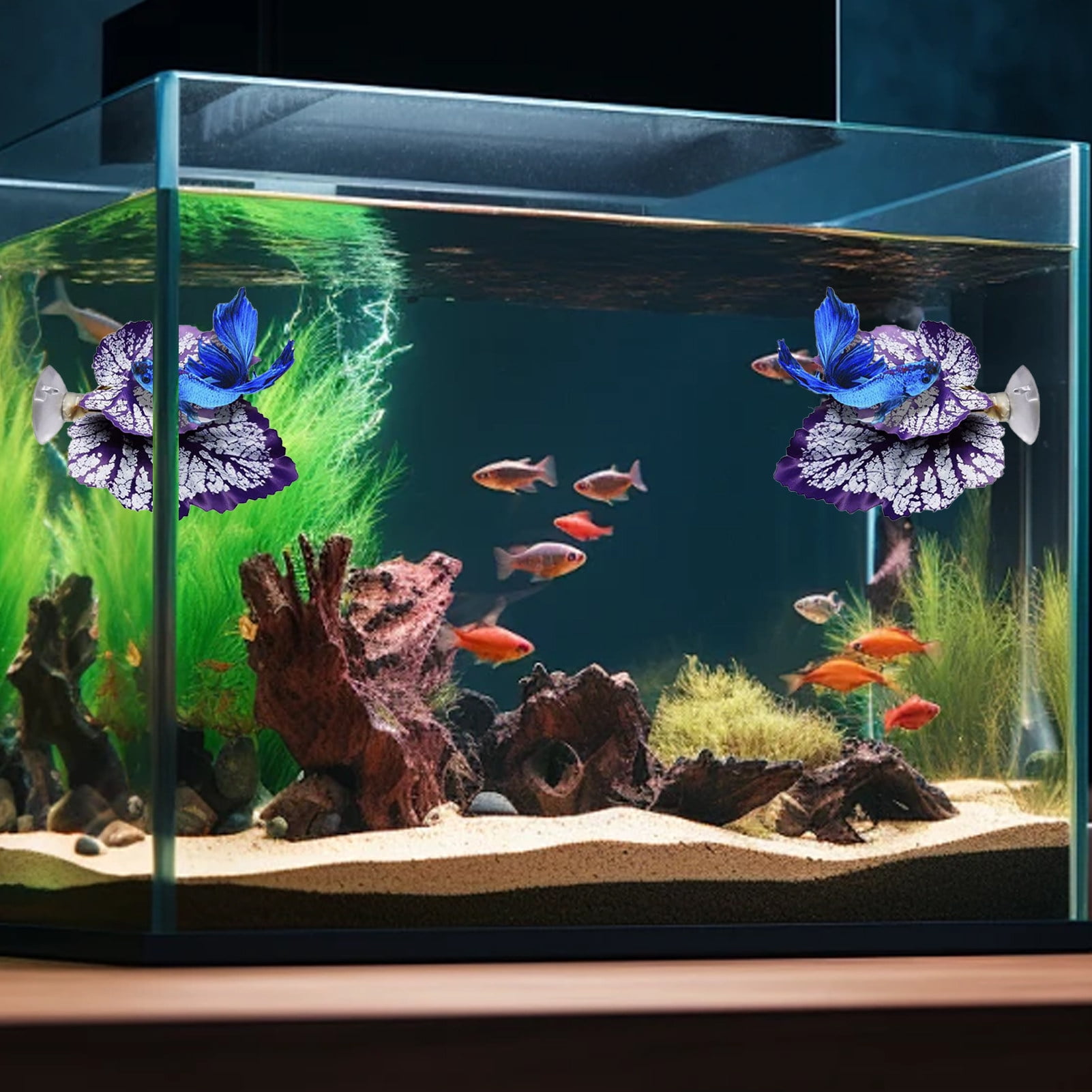 Tgzyhyh Fish Decoration Betta Fish Leaf Pad Aquarium Decor Stress ...