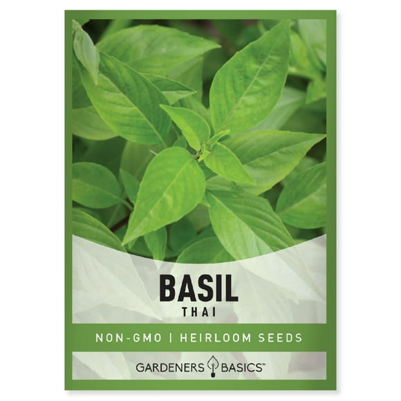 Basil Seeds in Seed Gardening - Walmart.com