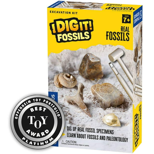 Thames & Kosmos I MMF7 Dig It! Fossils - Real Fossils Excavation Kit ...