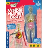 Thames & Kosmos Ooze Labs: Visible Human Body Model with Squishable ...