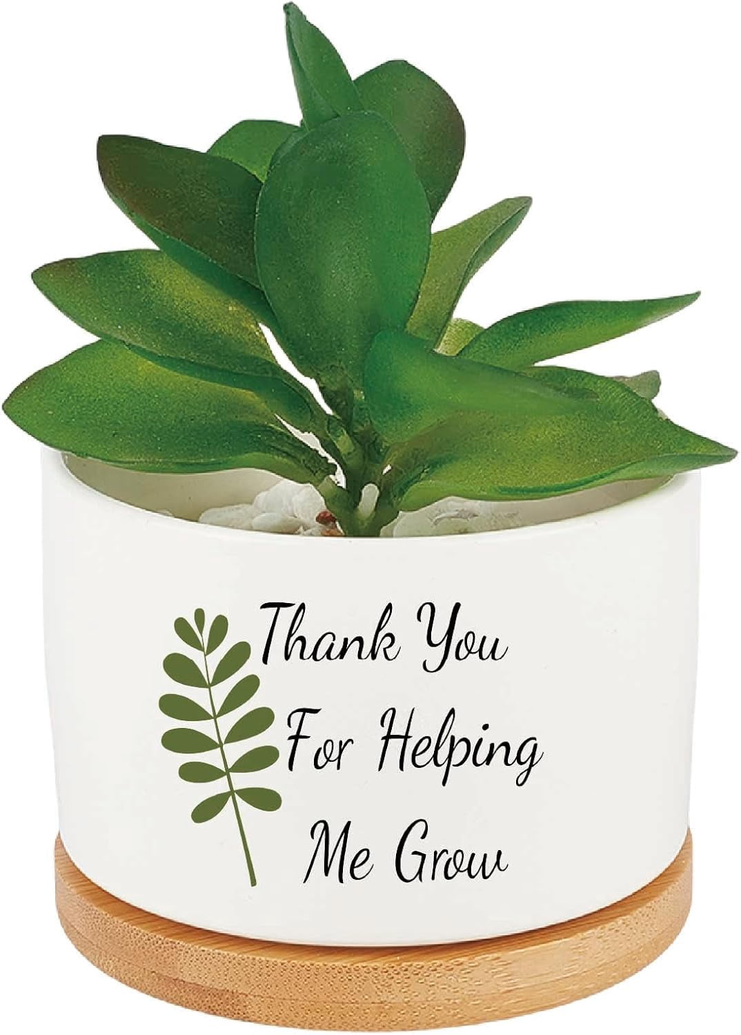 Thank You for Helping Me Grow Plant Pots Succulent Cactus White ...