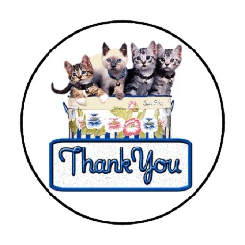 Thank You Kittens Sticker Phone Decal Water Bottle Stickers Car Decals ...