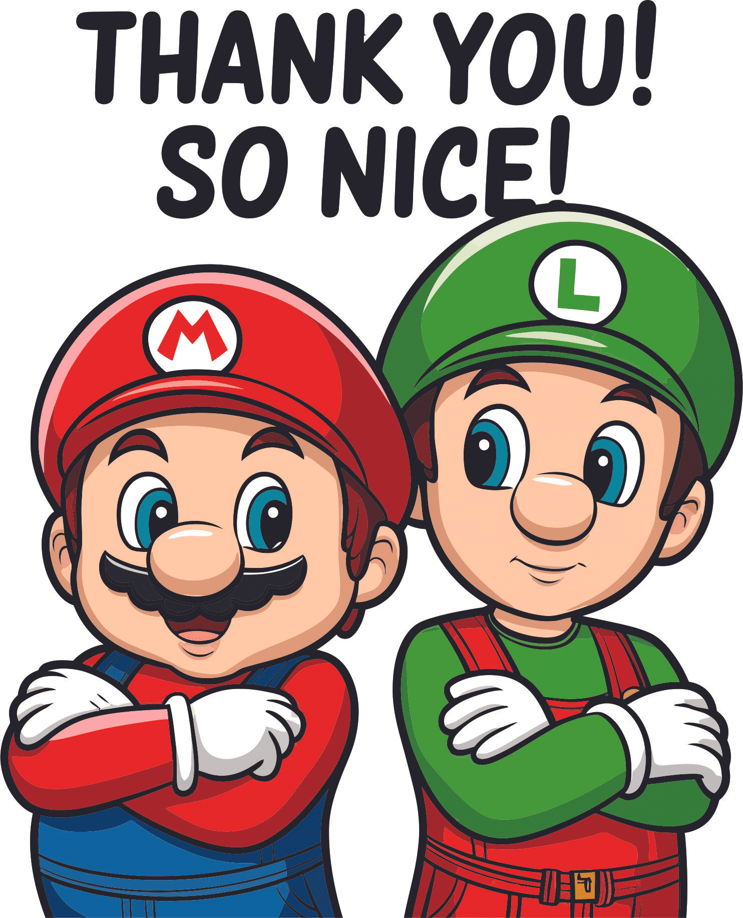 Thank You So Nice Red Green Plumber Brothers Retro Videogame Characters ...