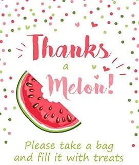 Thanks a Melon Birthday Sign Food Table Treat Decor One in a Melon ...