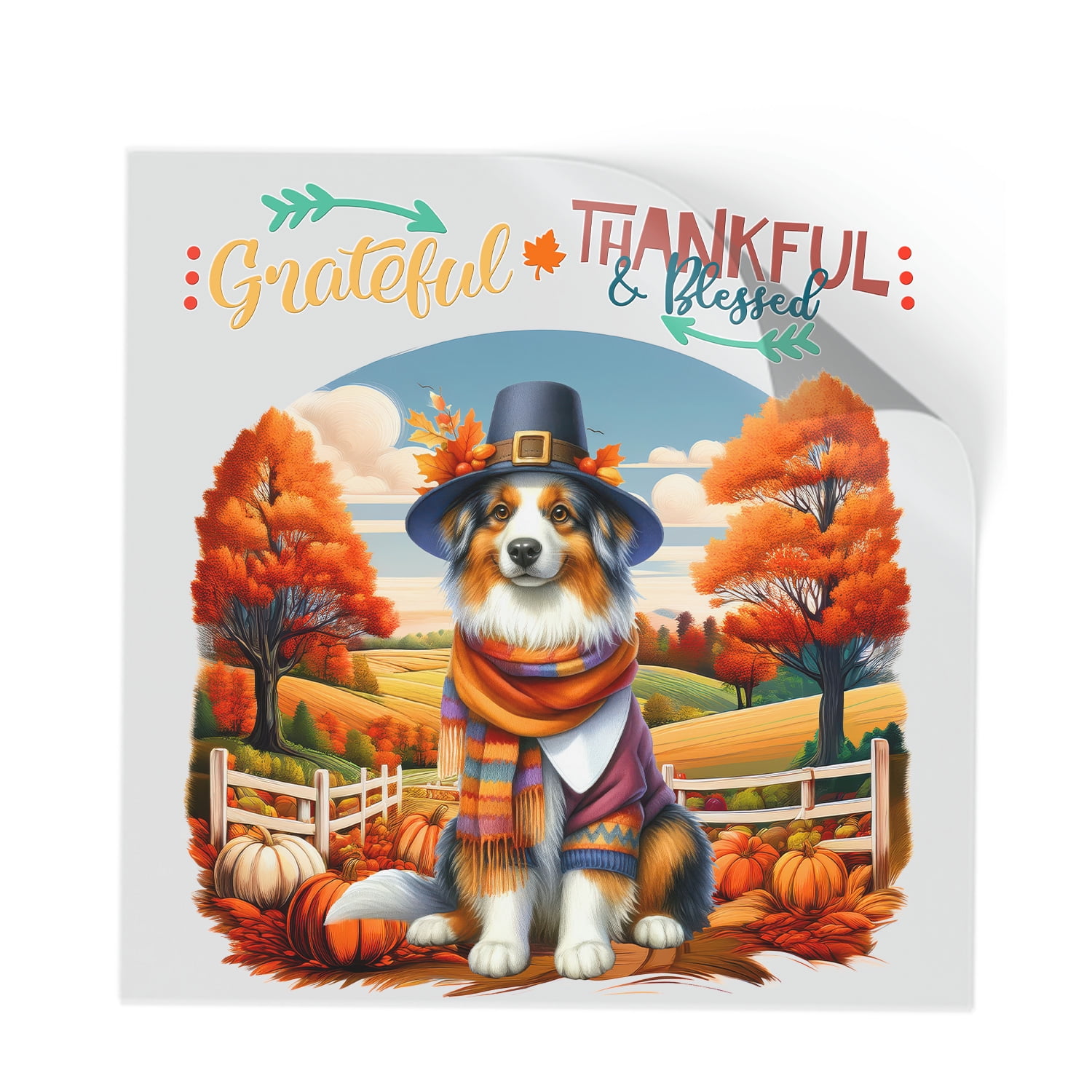 Thanksgiving Australian Shepherd Pilgrim Grateful, Thankful, Blessed ...