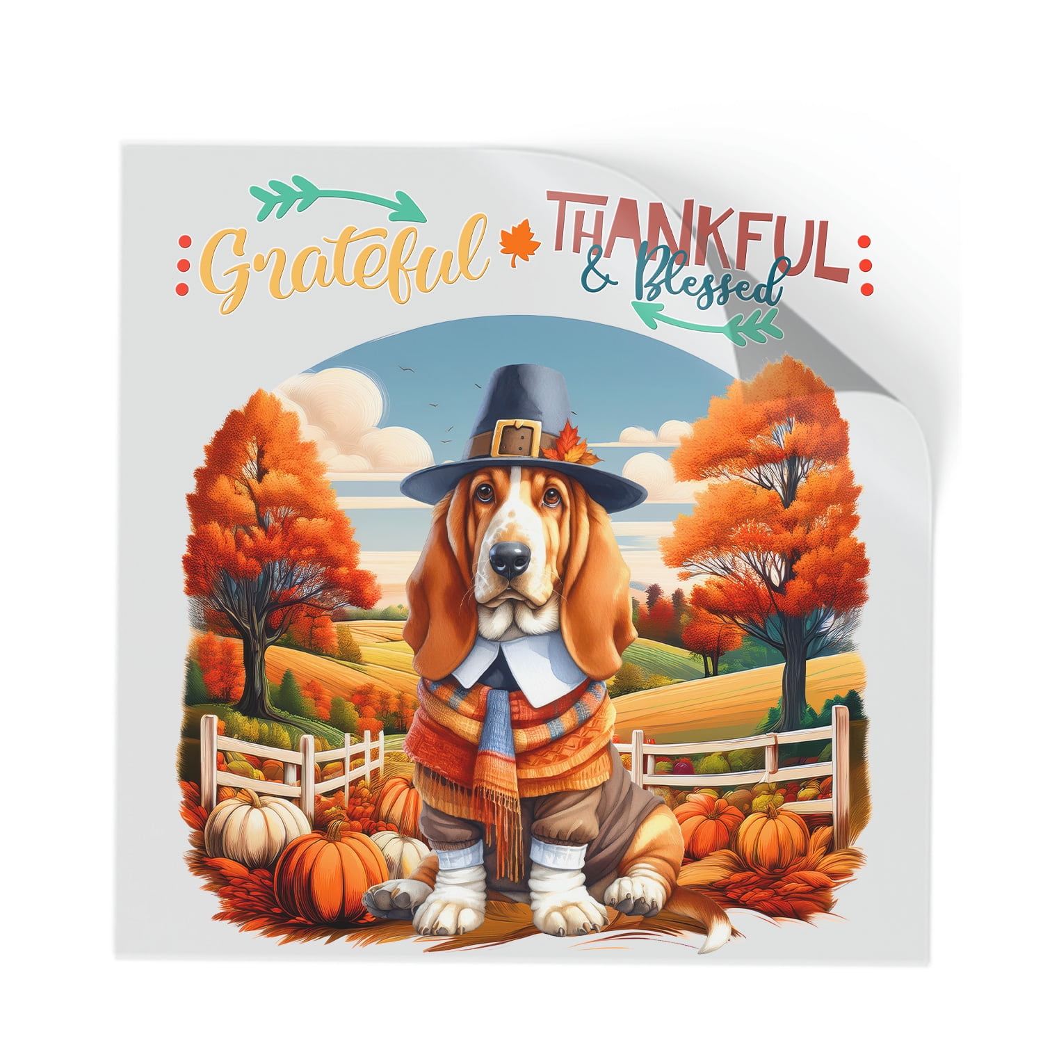 Thanksgiving Basset Hound Pilgrim Grateful, Thankful, Blessed Fall ...