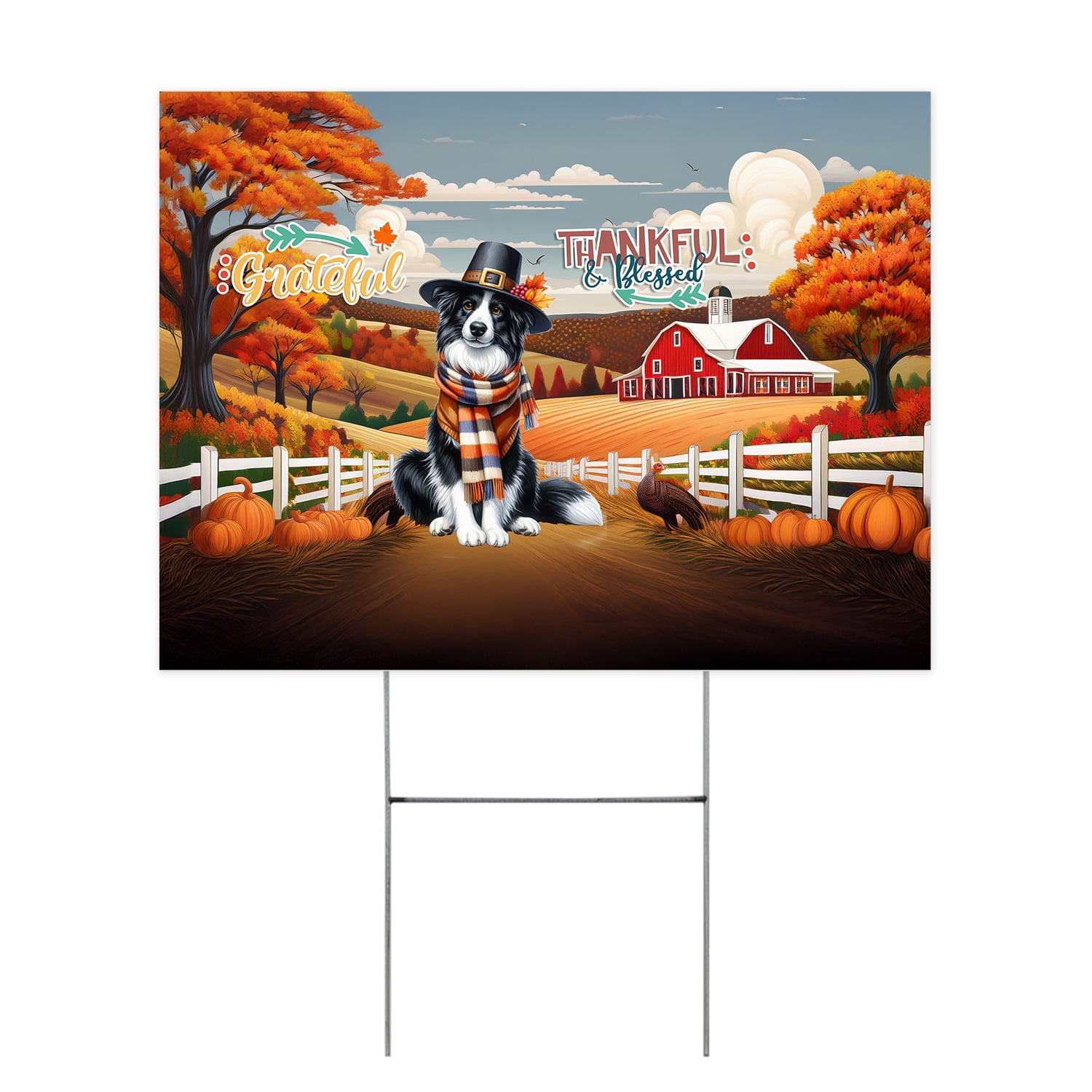 Thanksgiving Border Collie Pilgrim Grateful, Thankful, Blessed Fall ...