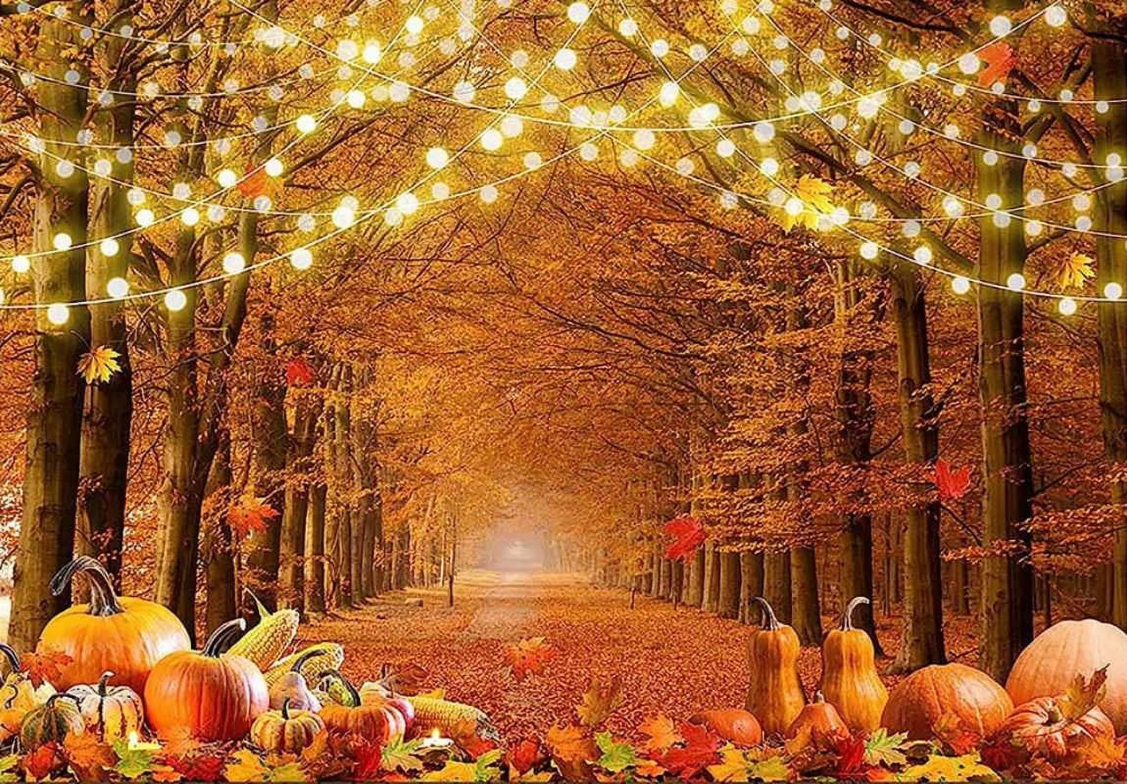 Thanksgiving Day Backdrop Autumn Pumpkin Party rations Harvest Turkey ...