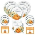 Thanksgiving Disposable Dinnerware Set for Your Holiday Party - Large ...