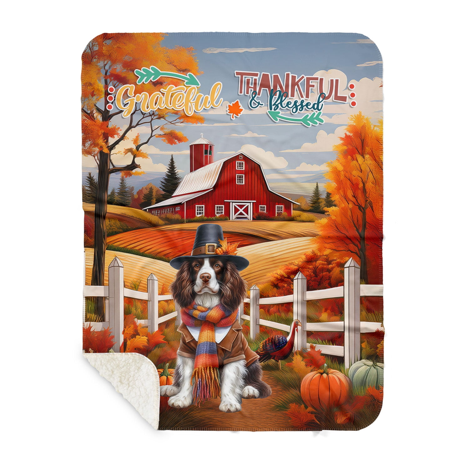 Thanksgiving English Springer Spaniel Pilgrim Grateful, Thankful ...
