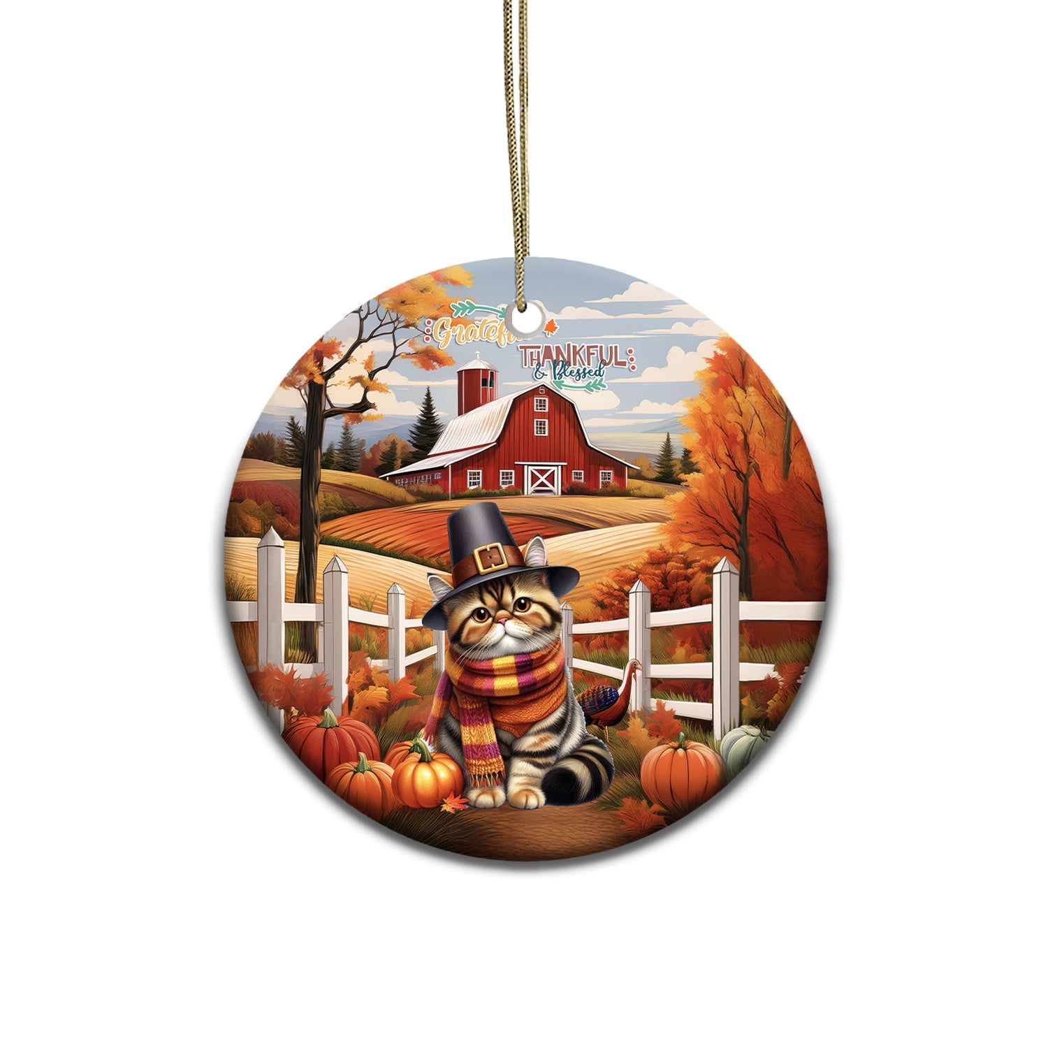 Thanksgiving Exotic Shorthair Pilgrim Grateful, Thankful, Blessed Fall ...