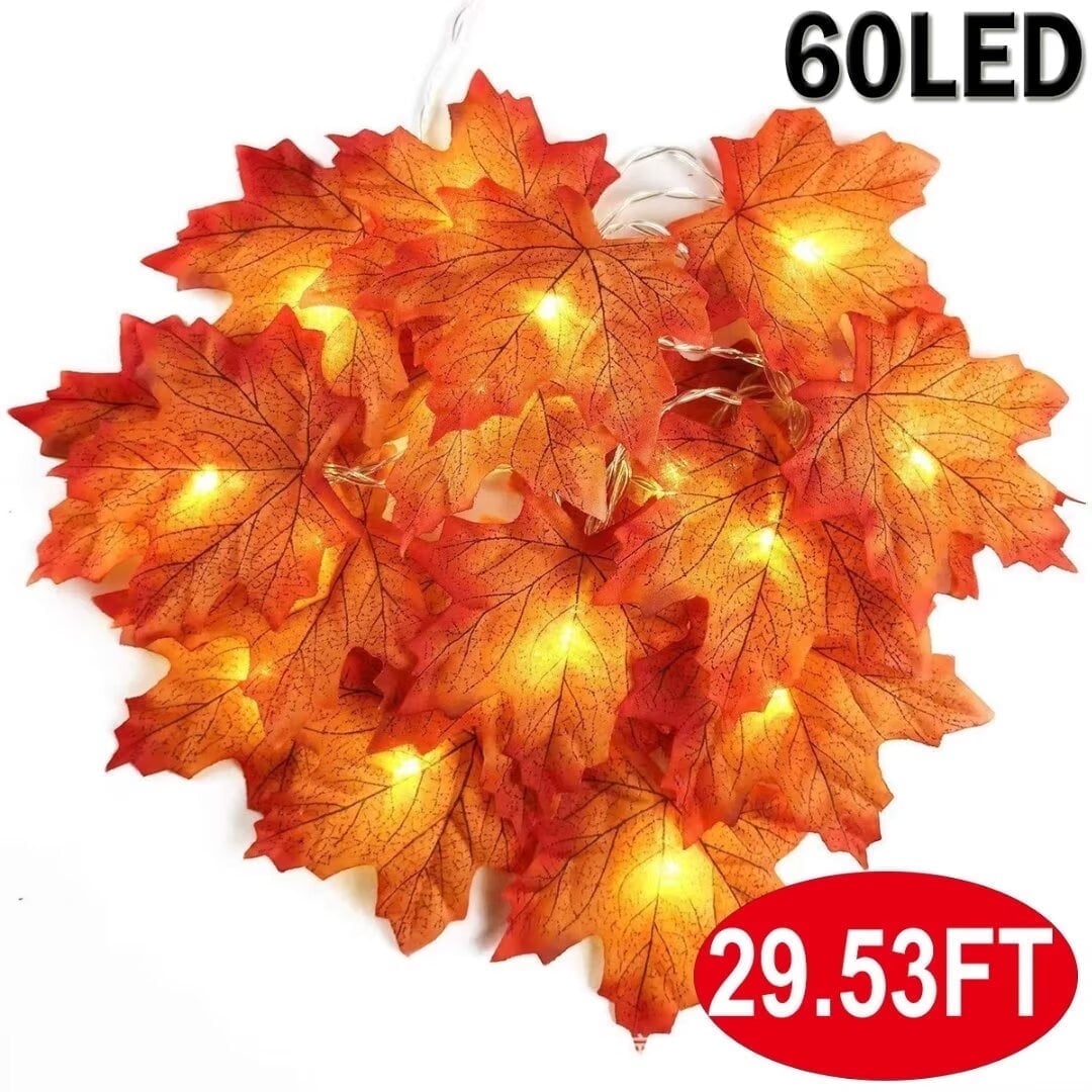 Battery Operated 60LED String Lights for Halloween & Thanksgiving ...