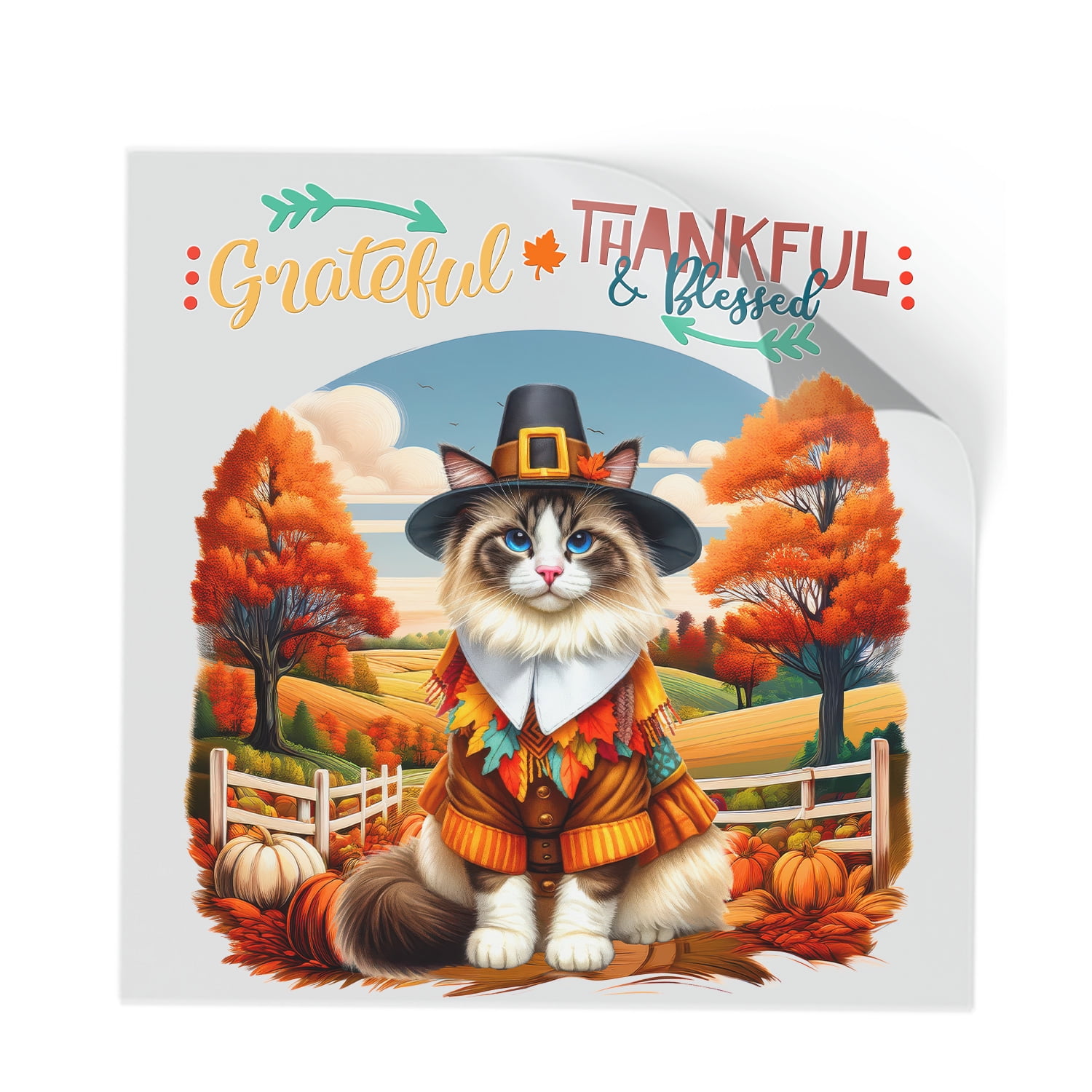 Thanksgiving Ragdoll Pilgrim Grateful, Thankful, Blessed Fall Welcome ...