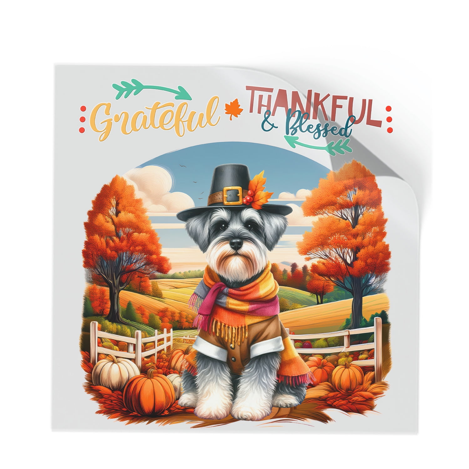Thanksgiving Schnauzer Pilgrim Grateful, Thankful, Blessed Fall Welcome ...