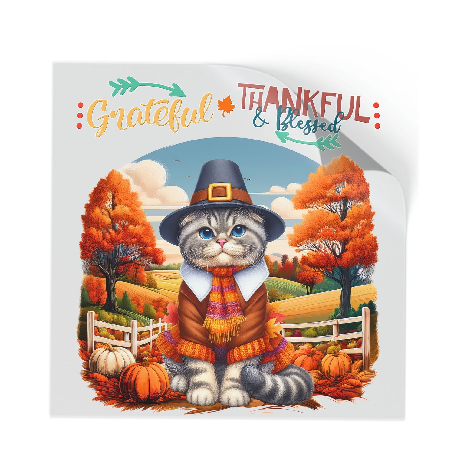 Thanksgiving Scottish Fold Pilgrim Grateful, Thankful, Blessed Fall ...