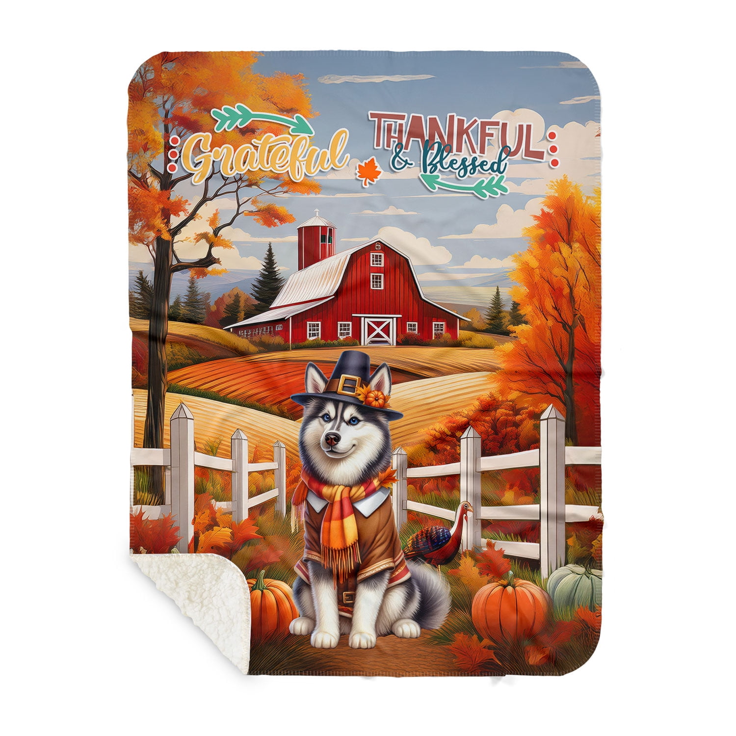 Thanksgiving Siberian Husky Pilgrim Grateful, Thankful, Blessed Fall ...