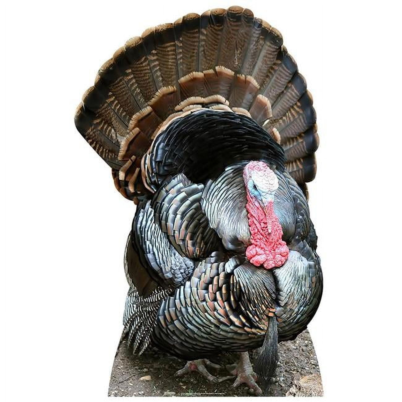 Thanksgiving Turkey Cardboard Cutout Cardboard Cutout - Walmart.com