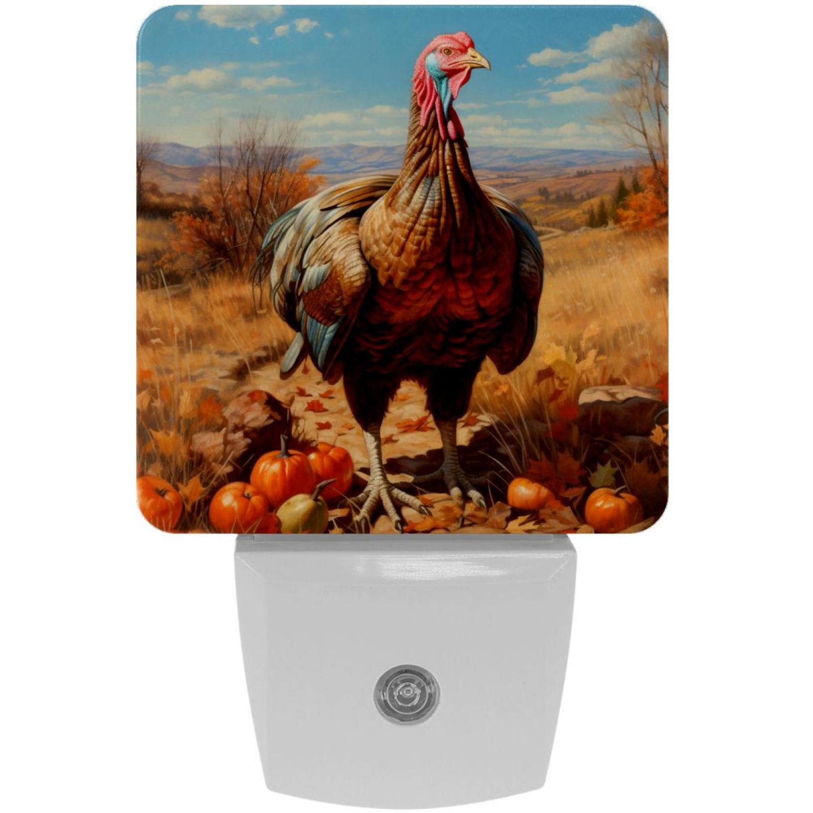 Thanksgiving turkey LED Square Night Light - Energy Efficient Plug-in ...